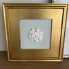 Coastal Intaglio Art on 6X6 or 5X7 Canvas, Coral, Shells or Sand Dollar ...