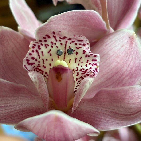 Large Spike Vertical Labret Jewelry, Angel Fangs Piercing Curved ...