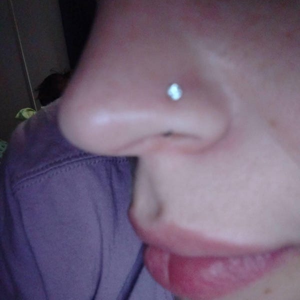 20G 18G Push Pin Clear CZ Horseshoe Nose Ring/threadless Half Hoop Nose ...