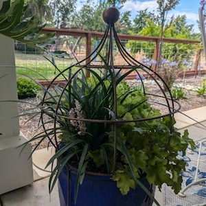 Wrought Iron 25 Cone Topiary Flower Trellis, Metal Plant Climber, Vegetable Garden Wire, Rustic ...