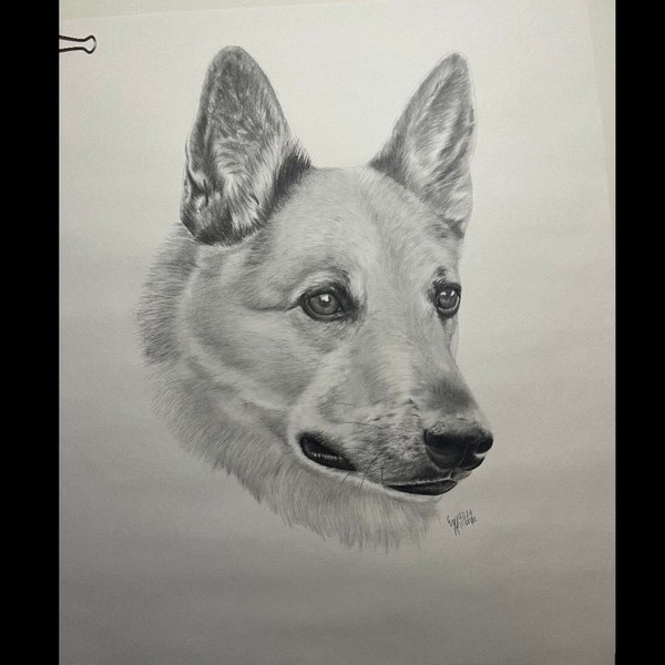 Custom Dog Ears Pencil Drawing - Etsy