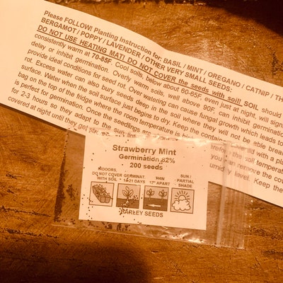 30 Dwarf Red Robin Tomato Heirloom NON-GMO Early - Etsy