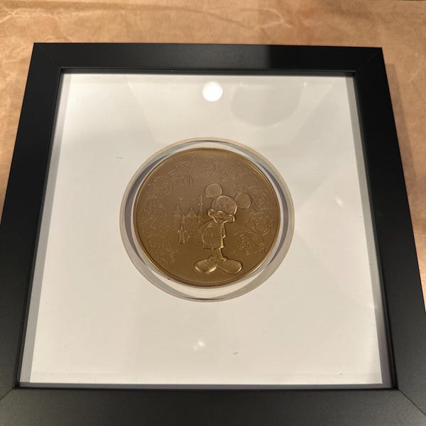 Coin Frame | DIY Frame Kit for Coins | Coin Display | Coin Holder ...
