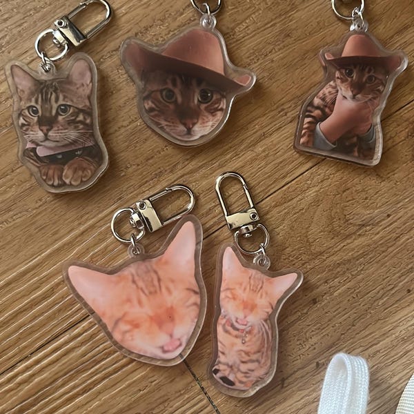 Custom Cat Keychain, Dog Keychain, Pet Keychain, Personalized Pet Photo ...