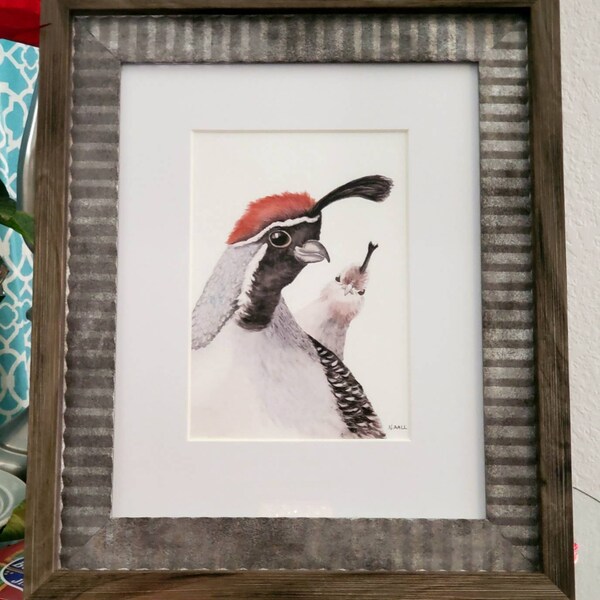 Quail Complexity Art Print, Male and Female Gambel's Quails, Watercolor ...