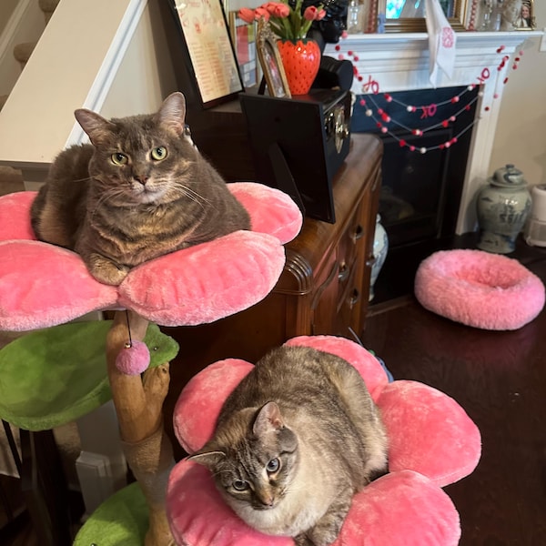 Wood Floral Cat Tree Tower, Wooden Cat Tower, Modern Cat Climbing Tree ...