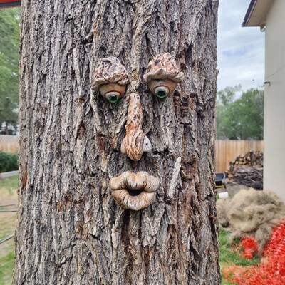 Forrest Stump Concrete Tree Face, Birthday Gifts, Fun Gardeners Gift ...