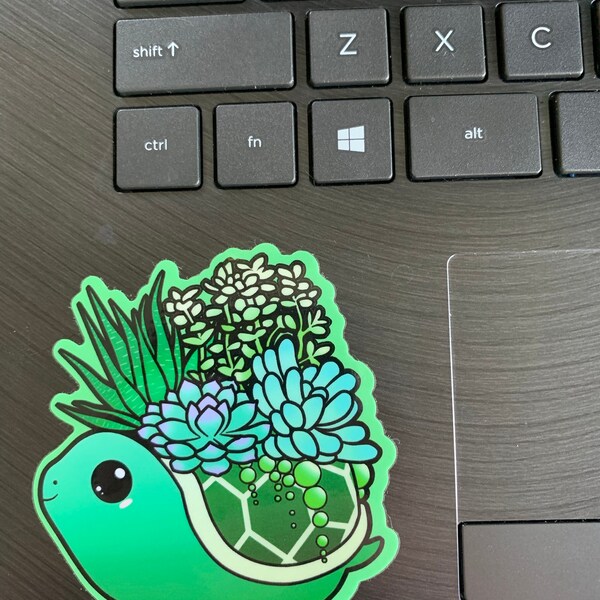 Succulent Turtle Biome Sticker - Etsy