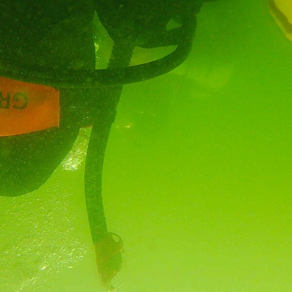 Personalized Embroidered Scuba BCD Name Tag Badge - Etsy