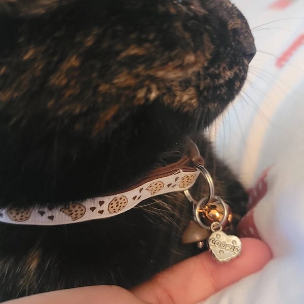 Collar Charms - Food Charms - Snacks - Extra Charms for Cat Collars ...