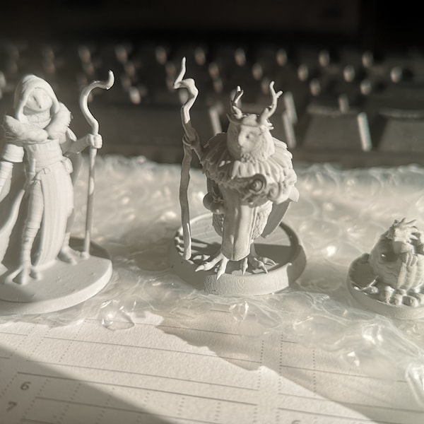 Owlin | Owlrakokra | Owlfolk | Aarakokra Druid I Wizard I Sorcerer ...