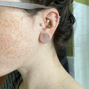 PAIR of Unique Organic Jackfruit Wood Single Flare Tunnels / | Etsy