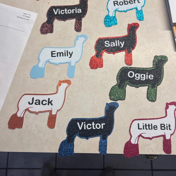 Set of 5 Braids With Option for Imprint Ribbon & Diamond Dust for ...