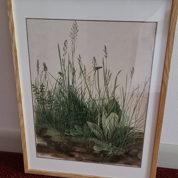 Albrecht Durer : the Great Piece of Turf (1503) - Giclee Fine Art Print ...