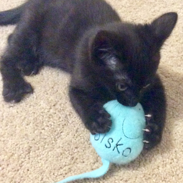 Personalized Cat Toy Mouse With Catnip Two Sizes Small and Large - Etsy
