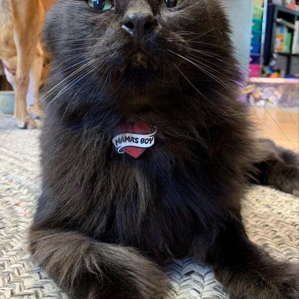 Pet ID Tag Mama's Boy, Tattoo Red Heart Dog Tag, Dog Tag for Dogs, Pet ...