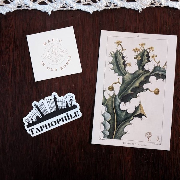 Tombstone Tourist Sticker. Cemetery Lover. Graveyard. Cemetery Explorer ...