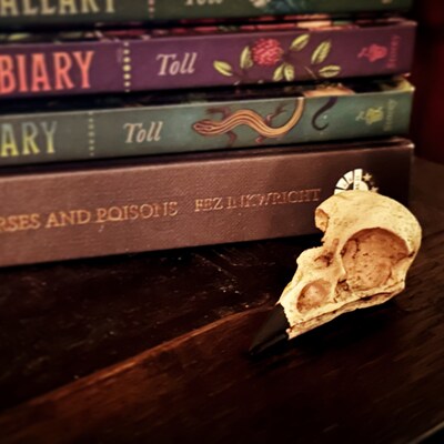 Rotting Skeleton Corpse - Etsy