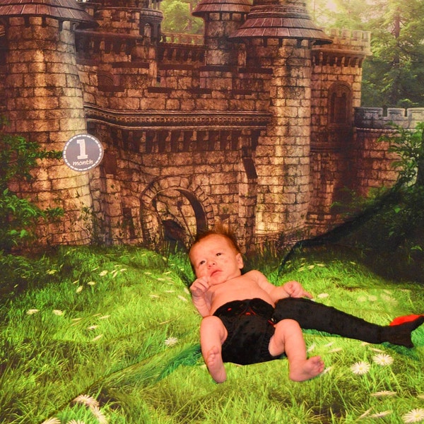 Watermelon OS Diaper Fitted, AI2, Pocket - Etsy