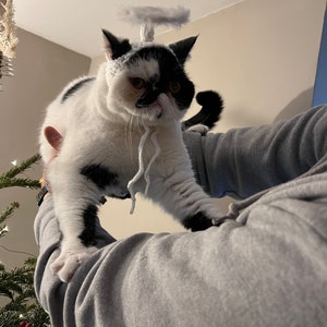 MATCHING SET Hand Knitted Strawberry Cat Hat With 2 Matching Hats for ...