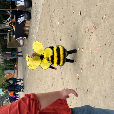 Pastel Rainbow Colored Faux Fur Shaggy Soft Colorful - Etsy