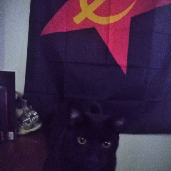 Anarcho-communism 2 3x5ft Flag Banner Anarchy Communist Communism ...