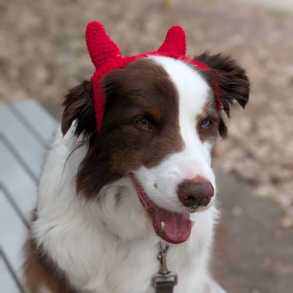 Crochet Pattern: Devil Horn Costume Headband With Ear Holes for Large ...