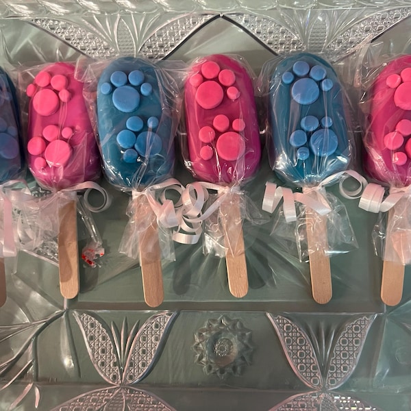 Cakesicle Treat Box - Etsy