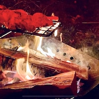 The Original Grill Mini Fire Anchor. Outdoor Cooking, Bushcraft ...