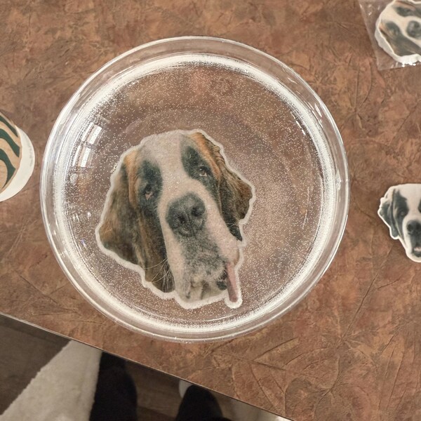 Pet Portrait Cut-out Wafer Drink Topper, Cocktail Topper, Custom Edible ...