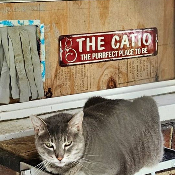 Catio Sign the Catio the Purrfect Place to Be Cute Catio Sign Vintage ...