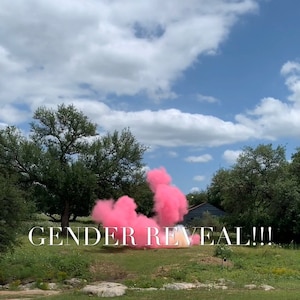 18LB Powder Box Target™ Shooting Target Gender Reveal Creative Gender ...