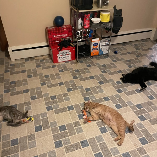 Chinese Takeout, Asian Hot Sauce Packet Catnip Cat Toy - Etsy