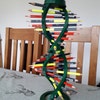 DNA Helix Pencil Holder - Etsy