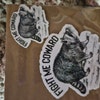 Fight Me Coward Raccoon Sticker, Raccoon Sticker Decal - Etsy