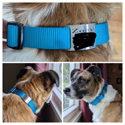 Rifle Paper Co Print Dog Collars 9 Cute Floral Trendy Patterns No ...