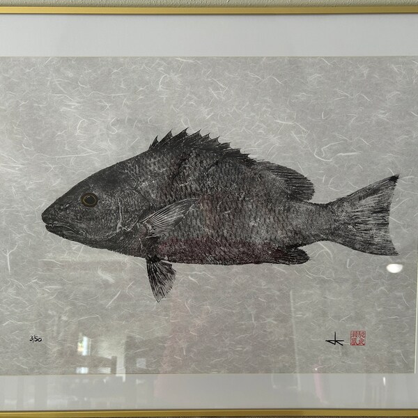 Mahi Mahi Gyotaku (color) - Limited Edition Reproduction, Unframed. - Etsy