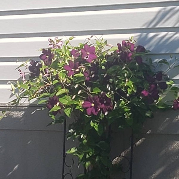 DIGITAL ART, Digital Christmas Print, Vintage Santa Download, Printable ...