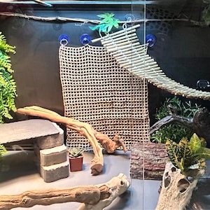 Reptile Climbable Wall Climbing Wall for Reptiles Reptile Climbable ...