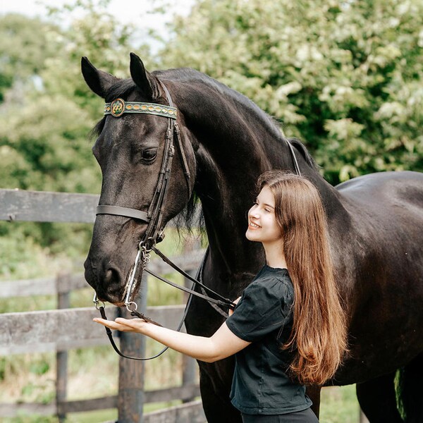 Leather Cinch Guard, Girth Guard, Buckle Protector, Buckle Guard ...