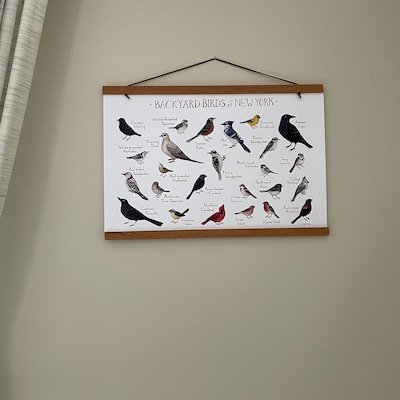 New York Backyard Birds Field Guide Art Print / Watercolor Painting ...