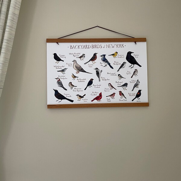 New York Backyard Birds Field Guide Art Print / Watercolor Painting ...