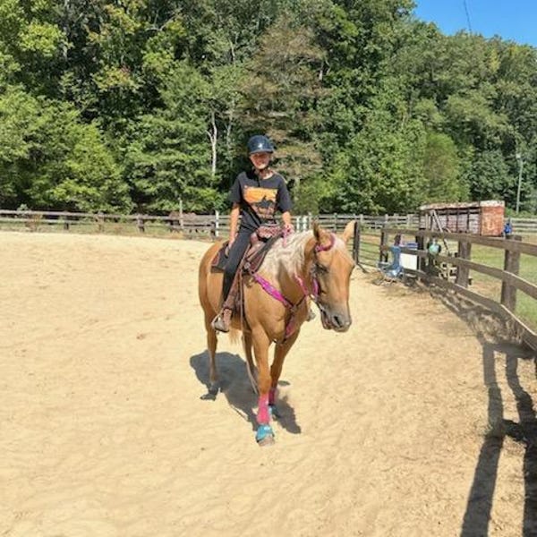 Butterfly Horse Tack, Western Leather Headstall Breast Collar Tack Set ...