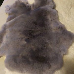 Springbok Pelt Natural Color Genuine Deer Fur Blesbok Antelope Pelt ...