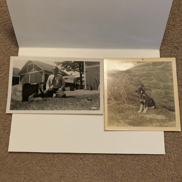 1960s Beatnik Hippie Man Goatee Beard Portrait 60s Vintage Photograph ...