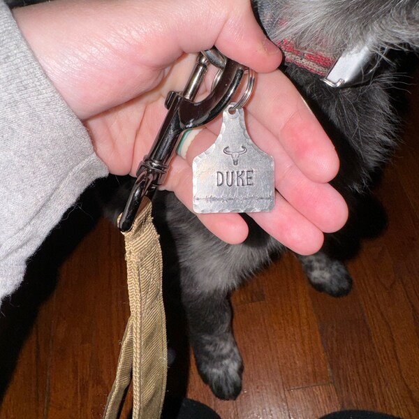 Aluminum Pet ID Tag | Bull Skull Barbwire Cattle Tag | Dog Tag | Pet ...