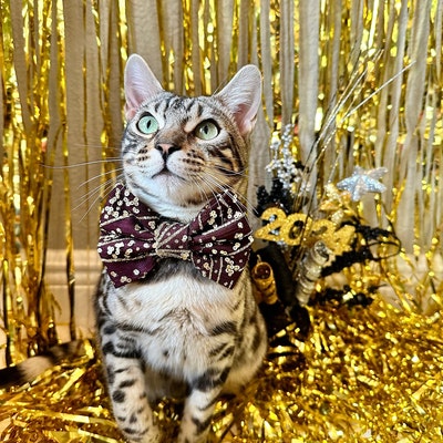 Toads and Mushrooms, toadally Fungi Cream Velvet, Forest, Reversible ...