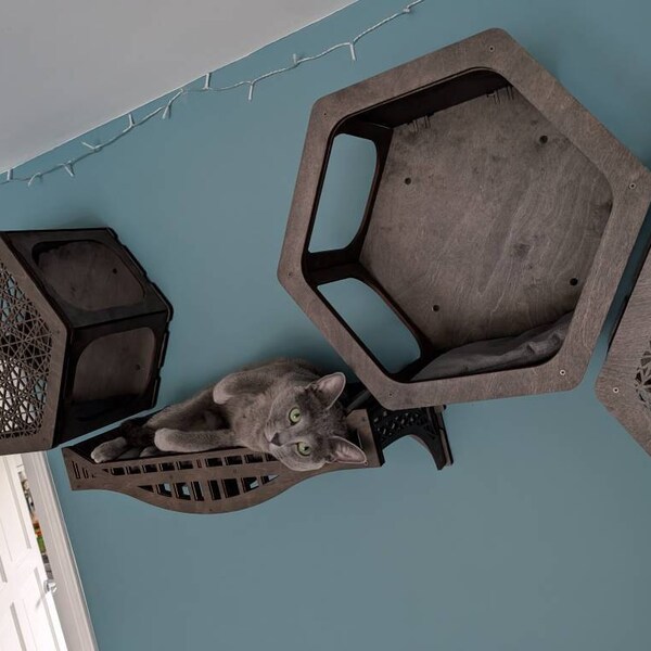 Modern Cat Wall Furniture, Cat Bed, Modern Cat Tree Wall, Hexagon Cat ...