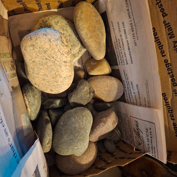 Rare Driftwood Roots W/ Embedded Stone 20in Long, Terrarium or Aquarium ...