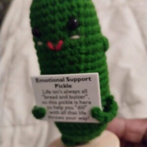 Positive Pickle,emotional Support Pickle,big Fan Pickle,handmade ...